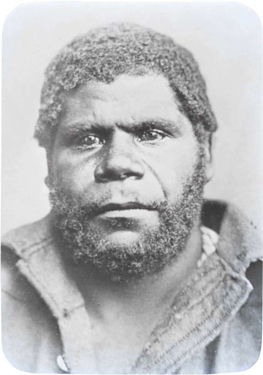 Aboriginal Tasmanians: Survival, Legacy, and Resilience
