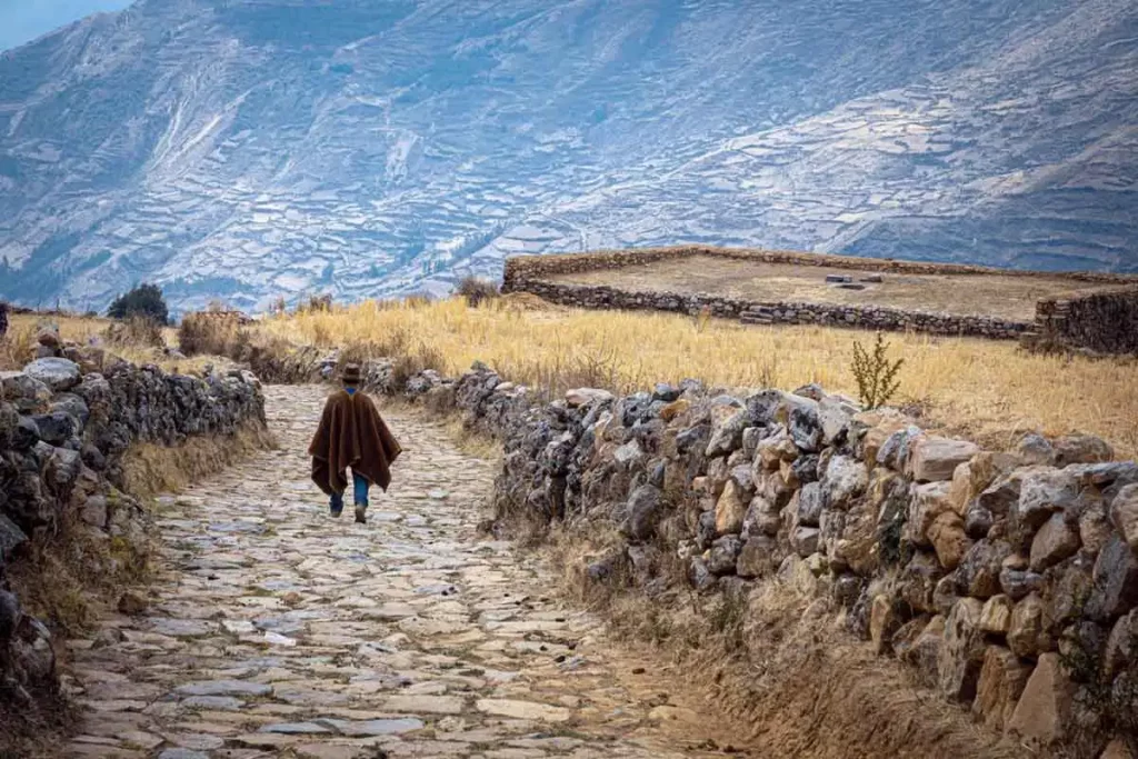 Medieval Doctors and the Black Death: How They Fought Against Plague